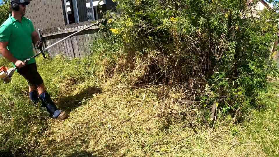 Full Property Restoration Through Intensive Yard Cleanup