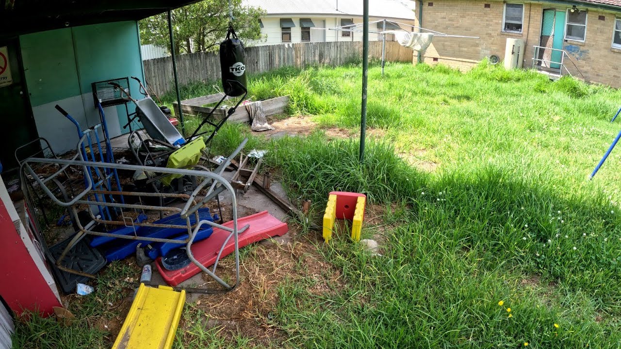 Clearing Overgrowth Reveals the Unexpected Beneath the Grass