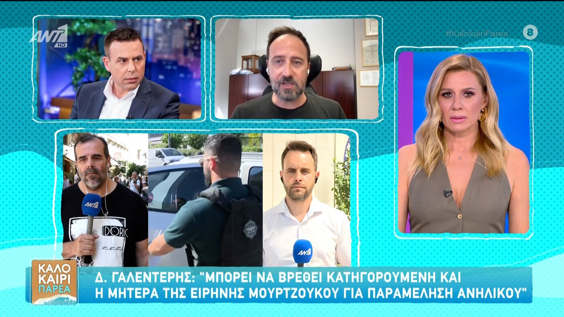 Δ. Γαλεντέρης: «Μπορεί να βρεθεί κατηγορούμενη και η μητέρα της Ειρήνης ...