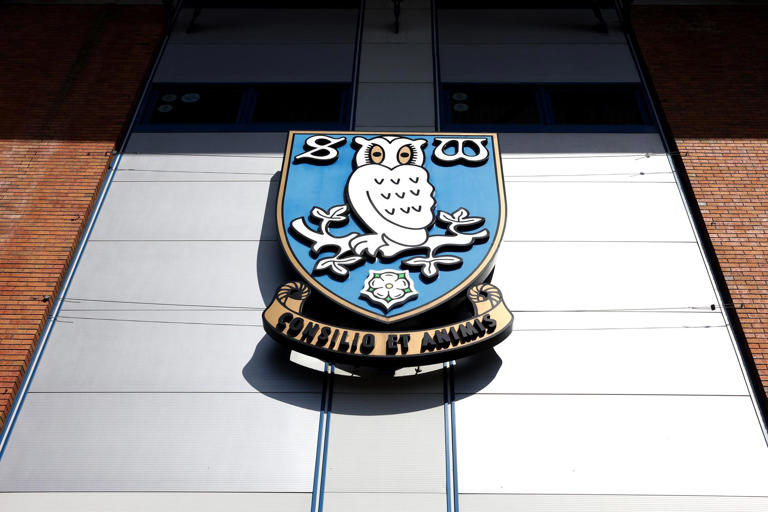 Another MP wades in on Sheffield Wednesday 'mismanagement' - slams ...