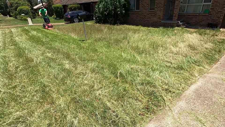 Major Yard Restoration with a Powerful Backstory Behind the Overgrowth