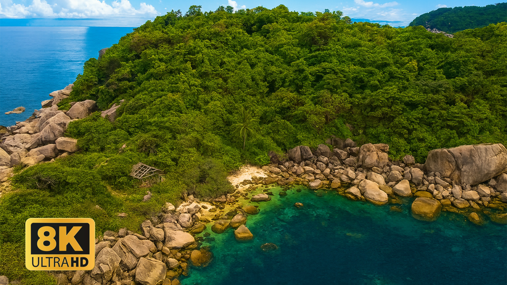 12K HDR ULTRA HD at 240FPS – Dolby Vision™ Demo for High-End 4K/8K ...