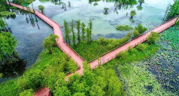 India’s Sparkling Cities: 5 Cleanest Places You Must Experience in 2025