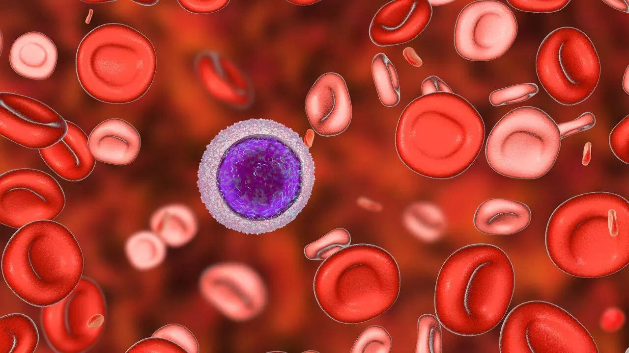 What is blood cancer: Know its symptoms, types, risk factors, and more