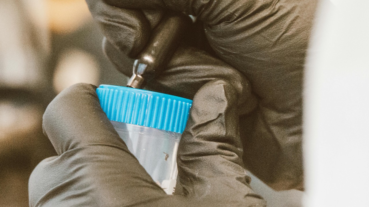 5 Discoveries So Weird They Were Hidden