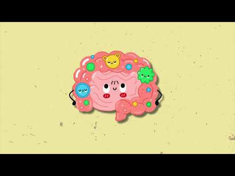 Cheap Daily Supplement Appears to Boost Brain Function in Older Adults