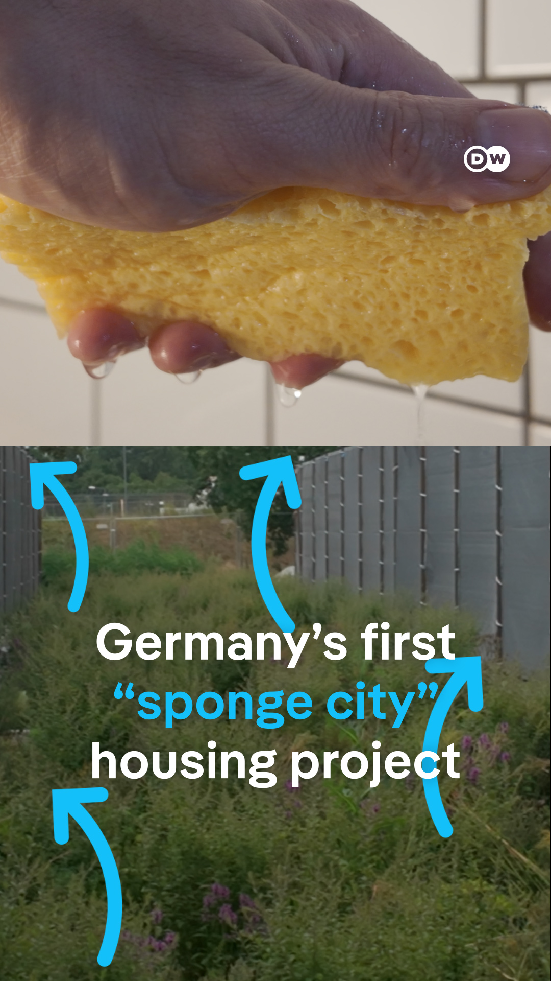 Germany’s first “sponge city” housing project