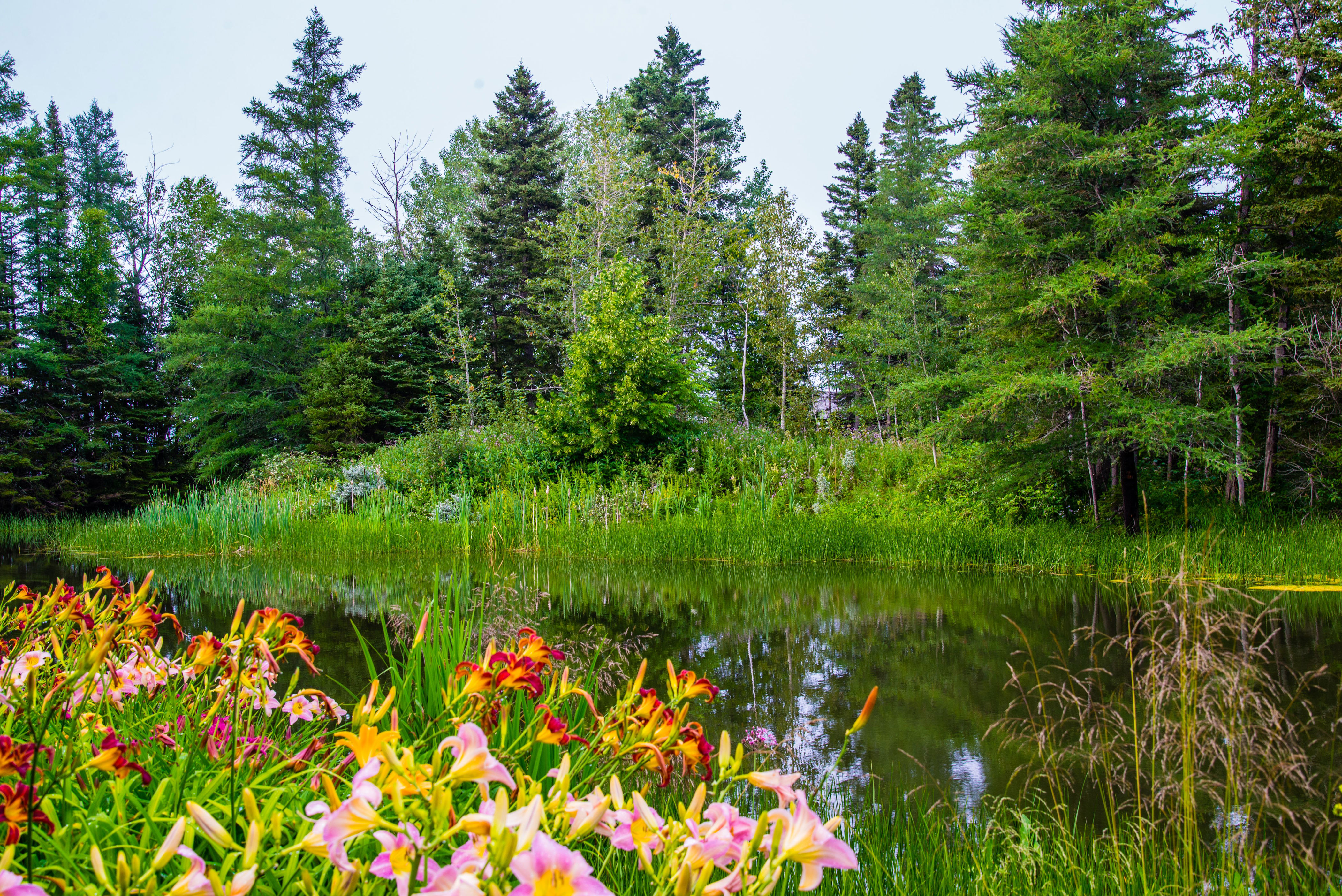 The 11 Most Beautiful Gardens Around the World