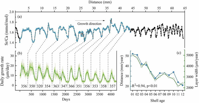 Ancient shell data reveal shifts in tropical cyclone patterns over ...