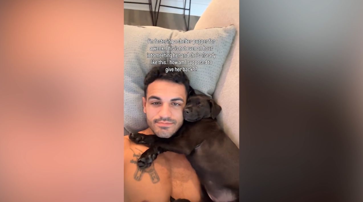 Man Fosters Shelter Puppy For A Week, It's Not Going To Plan