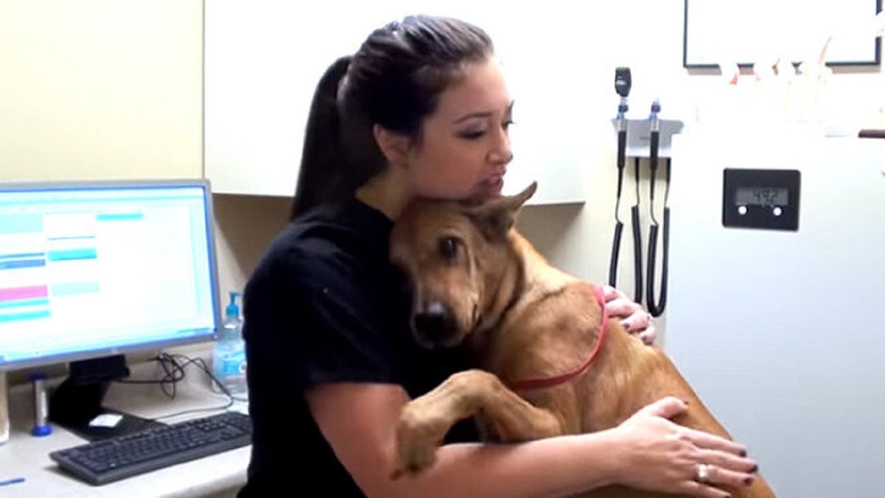 Dog Gives The Best Hugs After Being Saved From Euthanasia