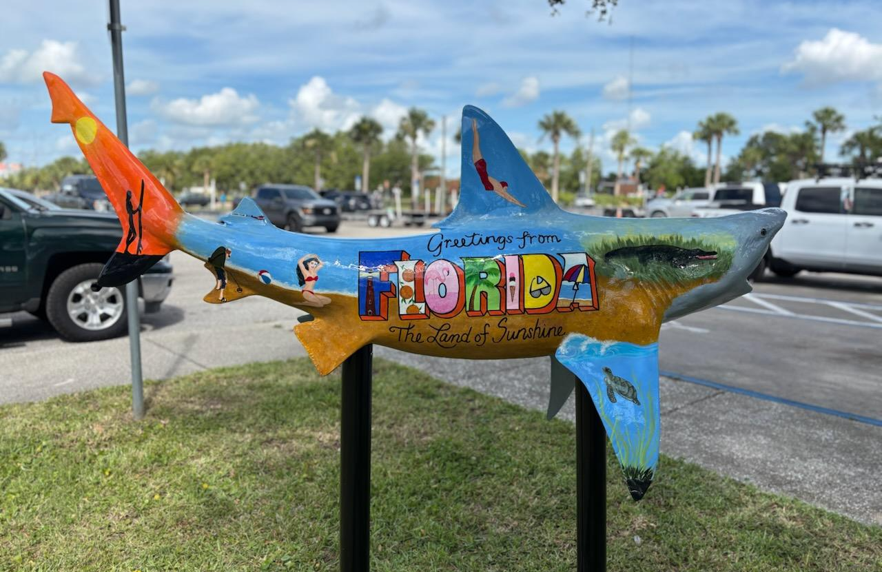 New Smyrna Beach shark attack: Injured Florida surfer recovering after ...