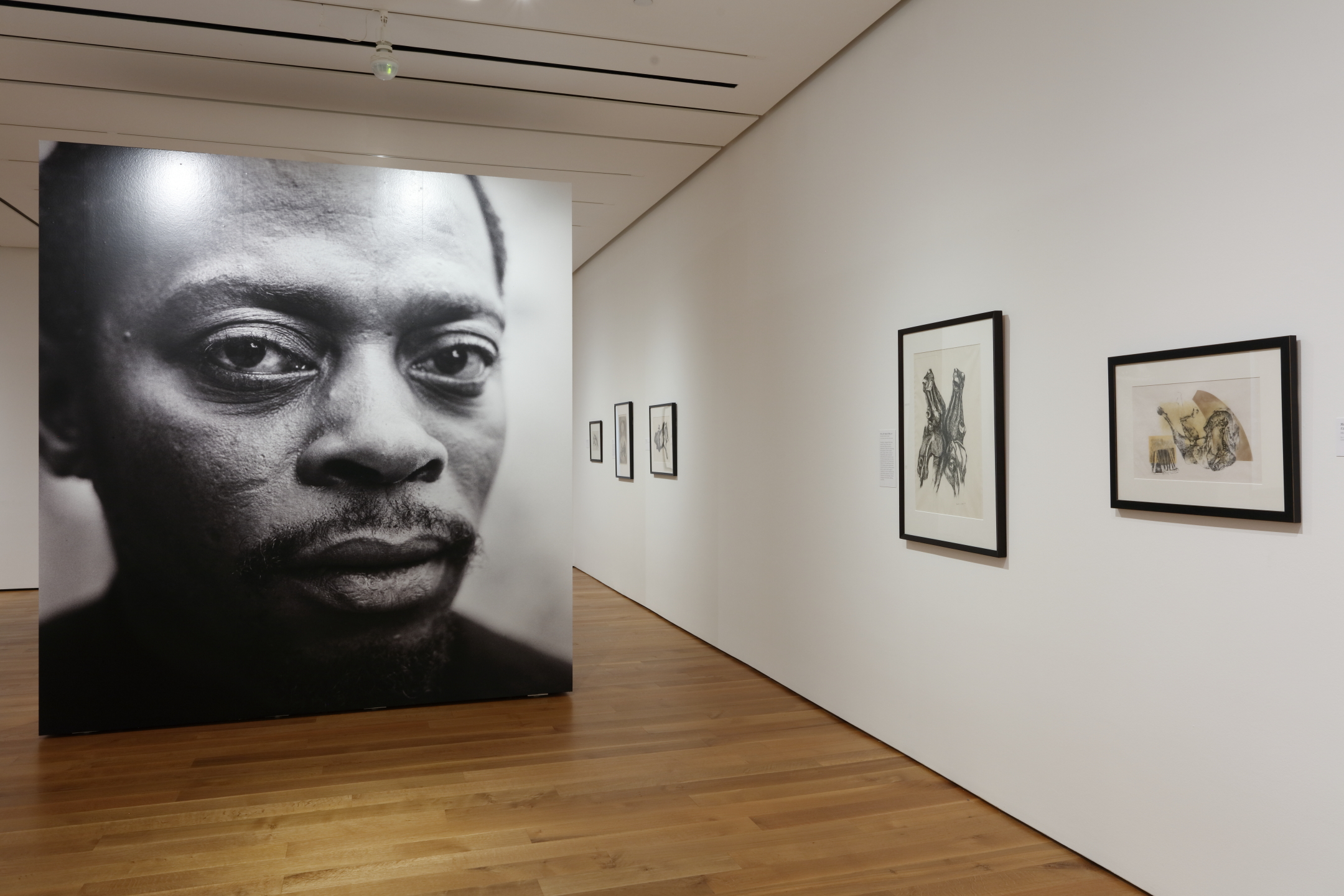 High Museum's Lauren Tate Baeza talks the U.S. debut of Ezrom Legae's ...