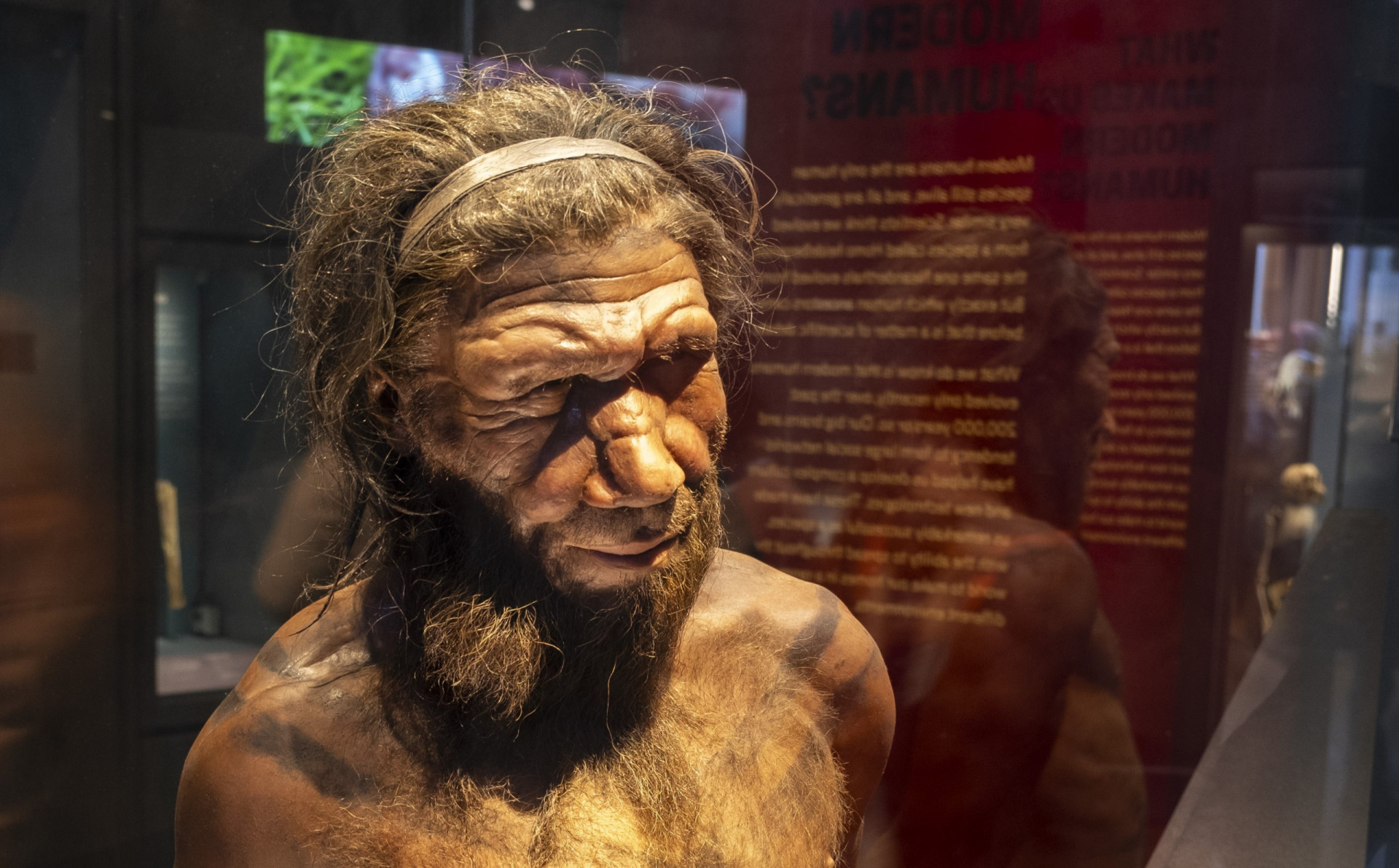 Homo sapiens vs Néandertal : la rencontre qui a changé l’histoire