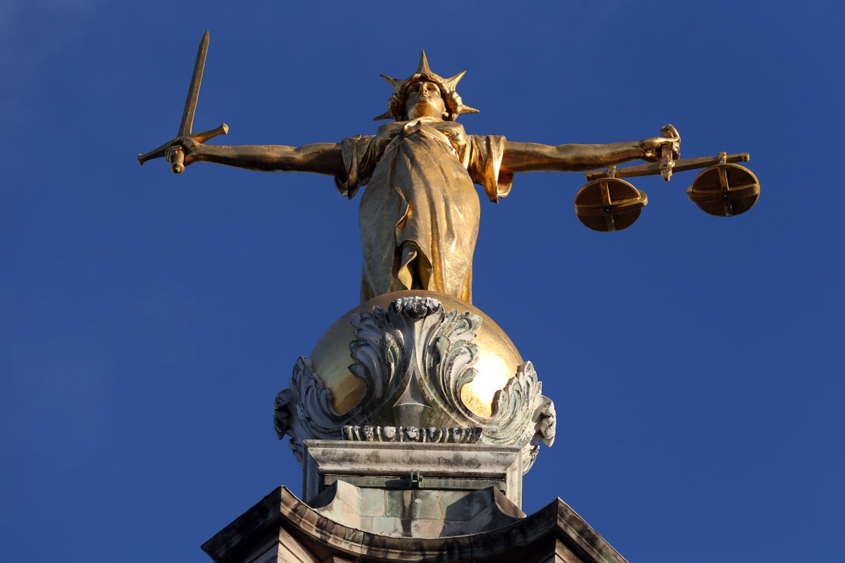Elderly victim suffered fatal stab and groin injuries in home attack
