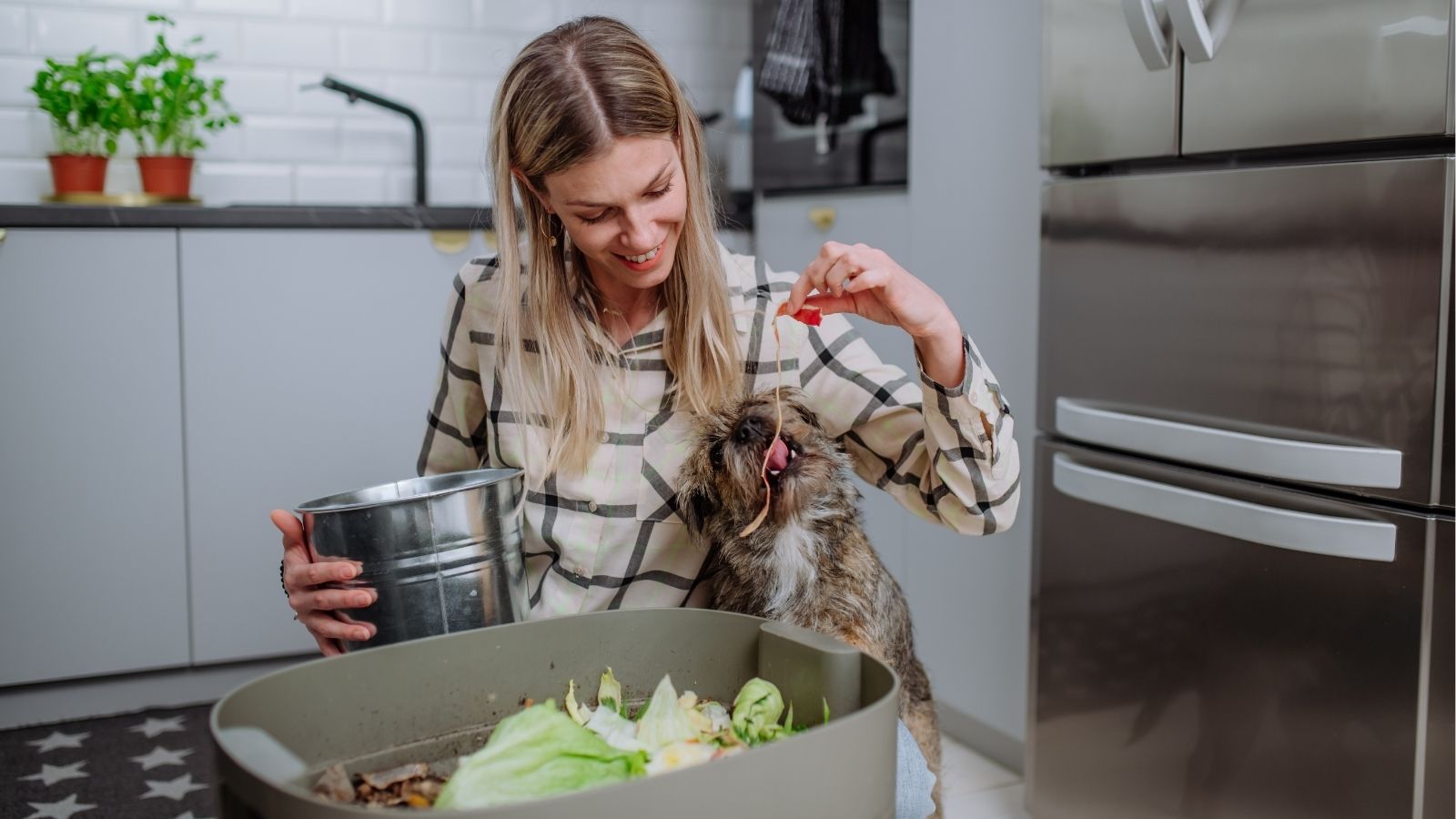 10 Compost Tea Ideas That Feed Plants Without Chemicals