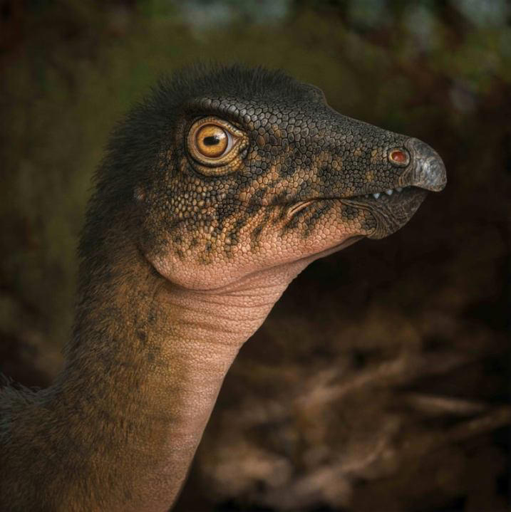 Denver dino museum makes ‘historically thrilling’ discovery under own ...