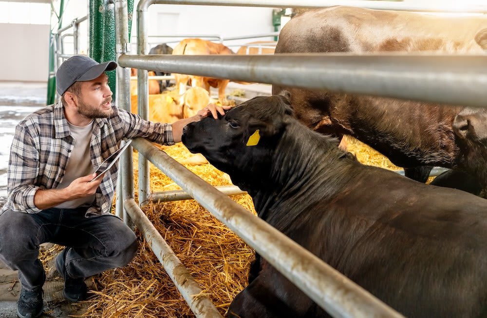 'What's my contingency plan?' Farmers and ranchers worried Trump ...