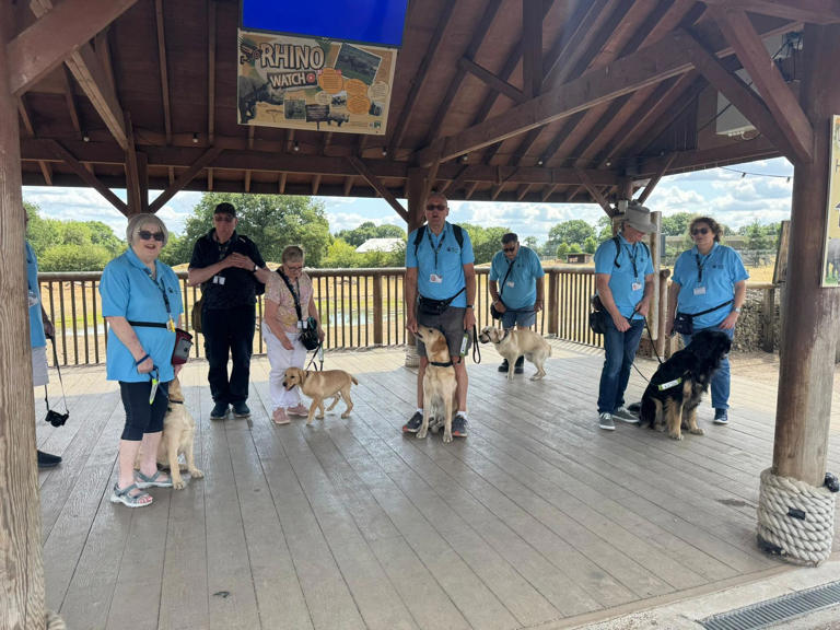 Guide dog puppies enjoy a wild day out to Yorkshire Wildlife Park