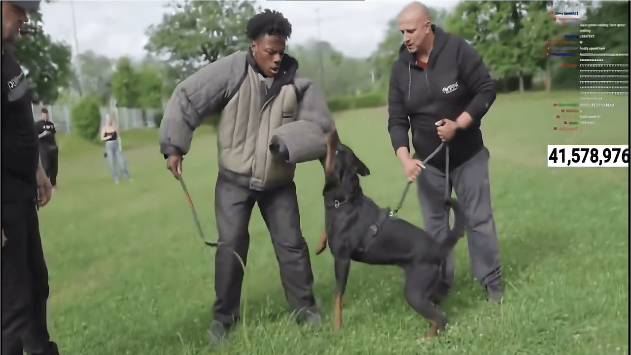 “I’m scared, bro!”: IShowSpeed gets bitten by a K9 dog during ...