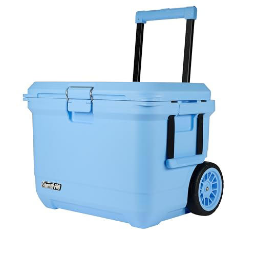 The curator: The best coolers you can get in Canada in 2026