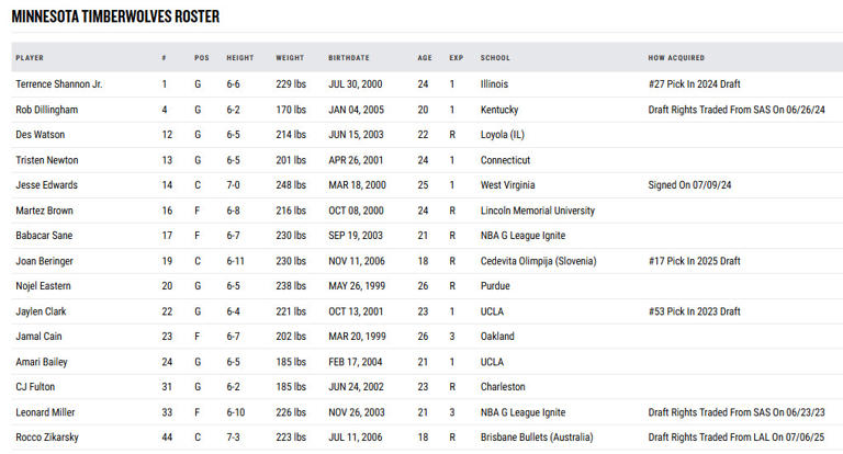 2025 Timberwolves Summer League Preview