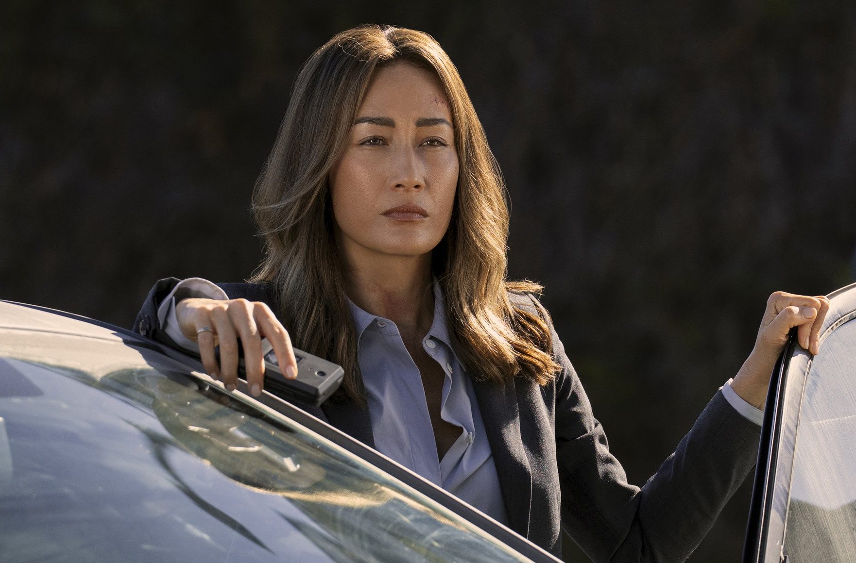 Amazon Prime fans can binge all 10 eps of crime drama
