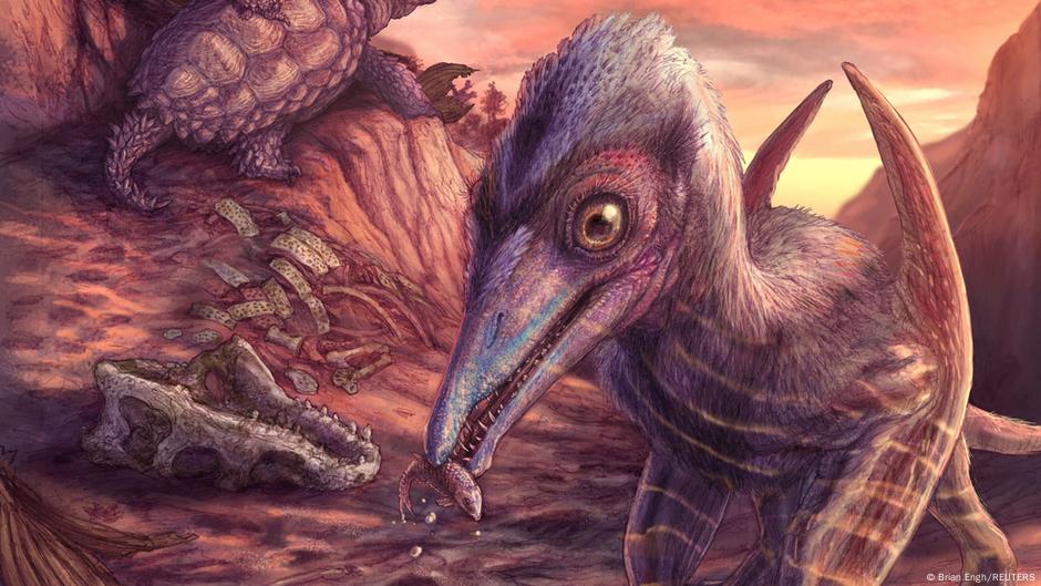 Hallan en Arizona a la "diosa del alba con alas de cenizas", el ...