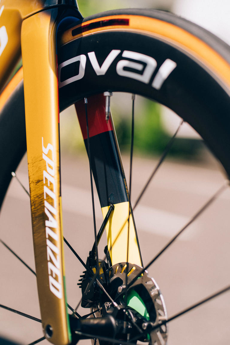 Monster all-carbon chainring and custom bars among the smörgåsbord of ...