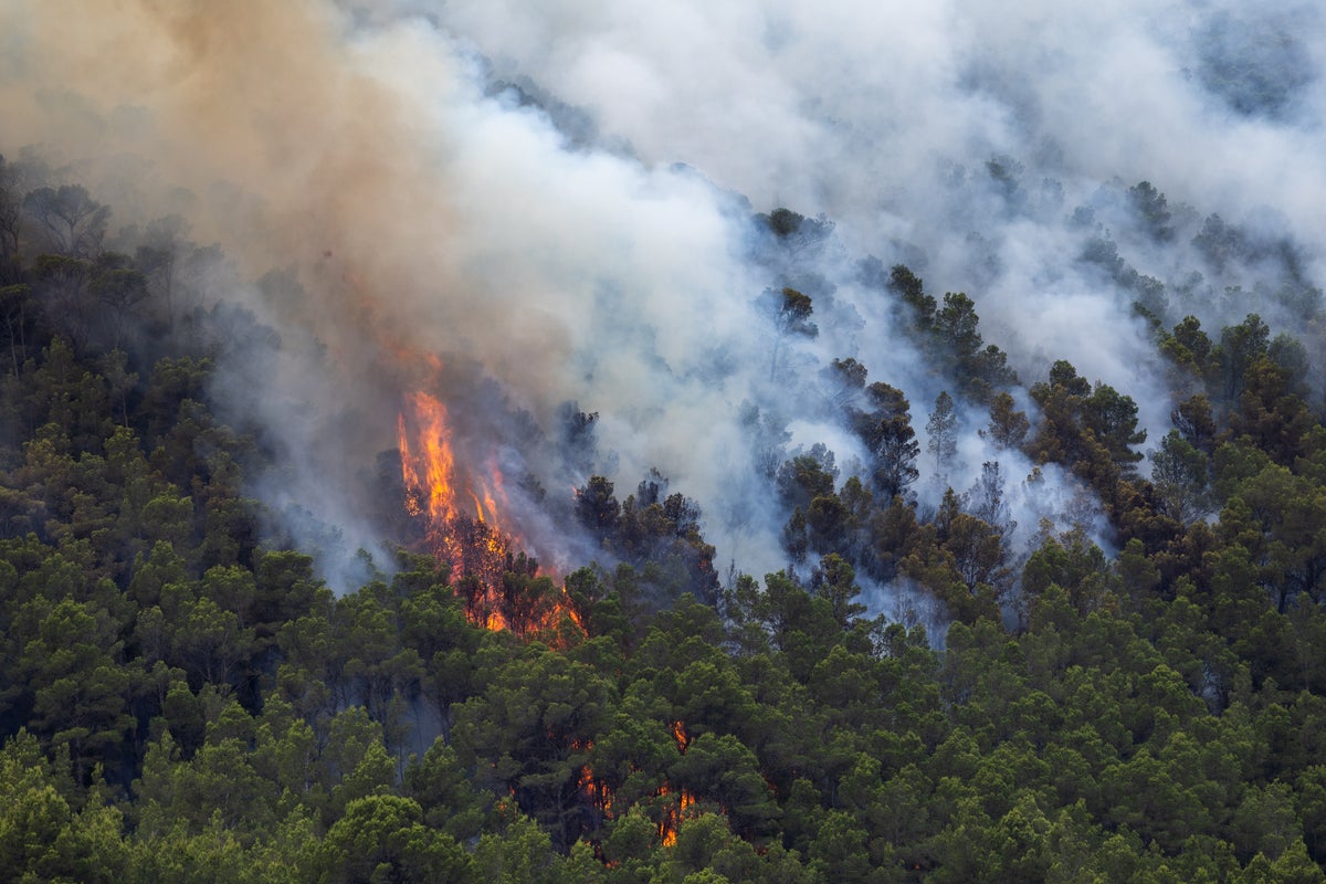 Europe wildfires map: Where summer fires have struck from France and ...