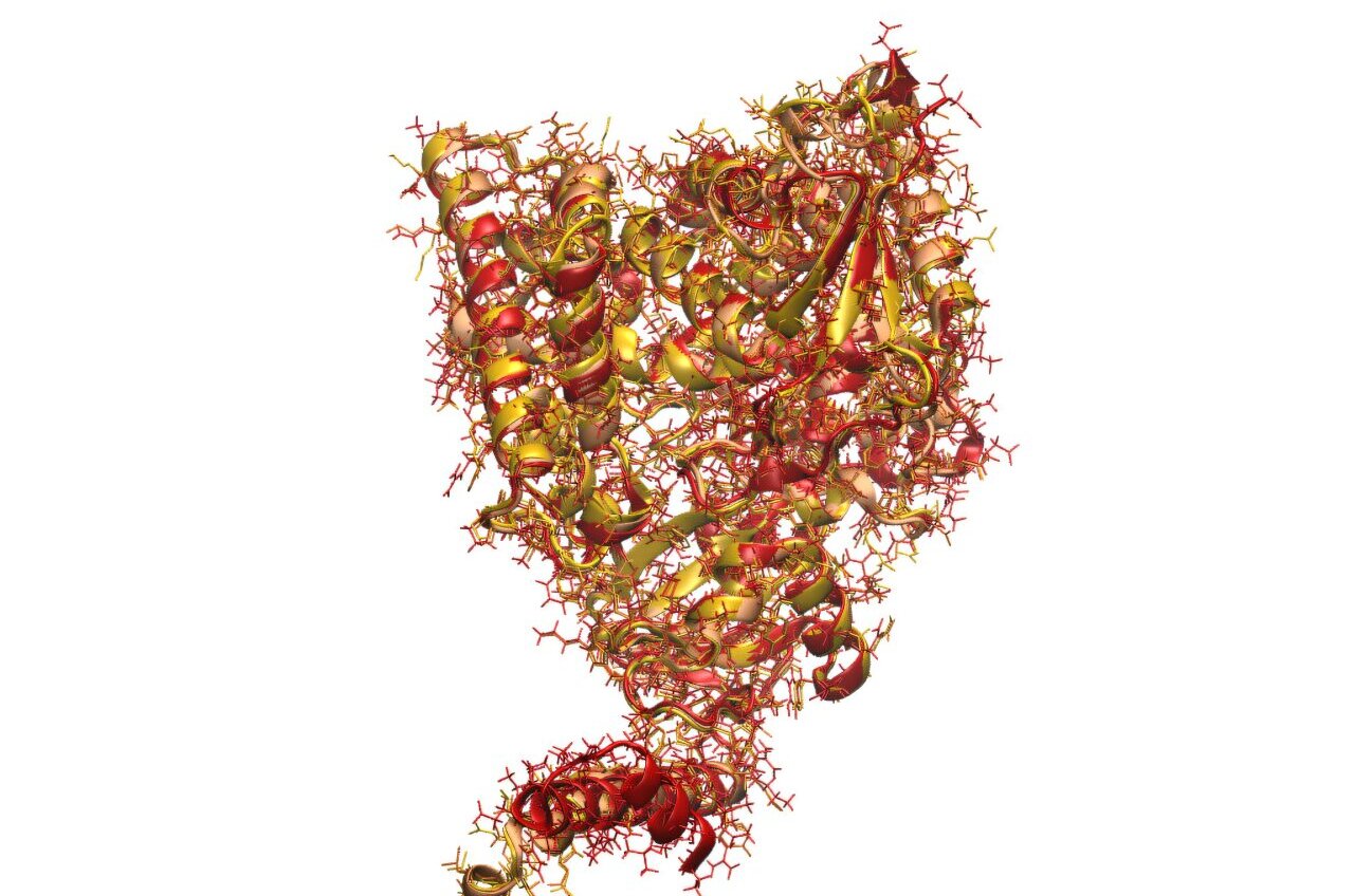 Study analyzes 400 million years of enzyme evolution