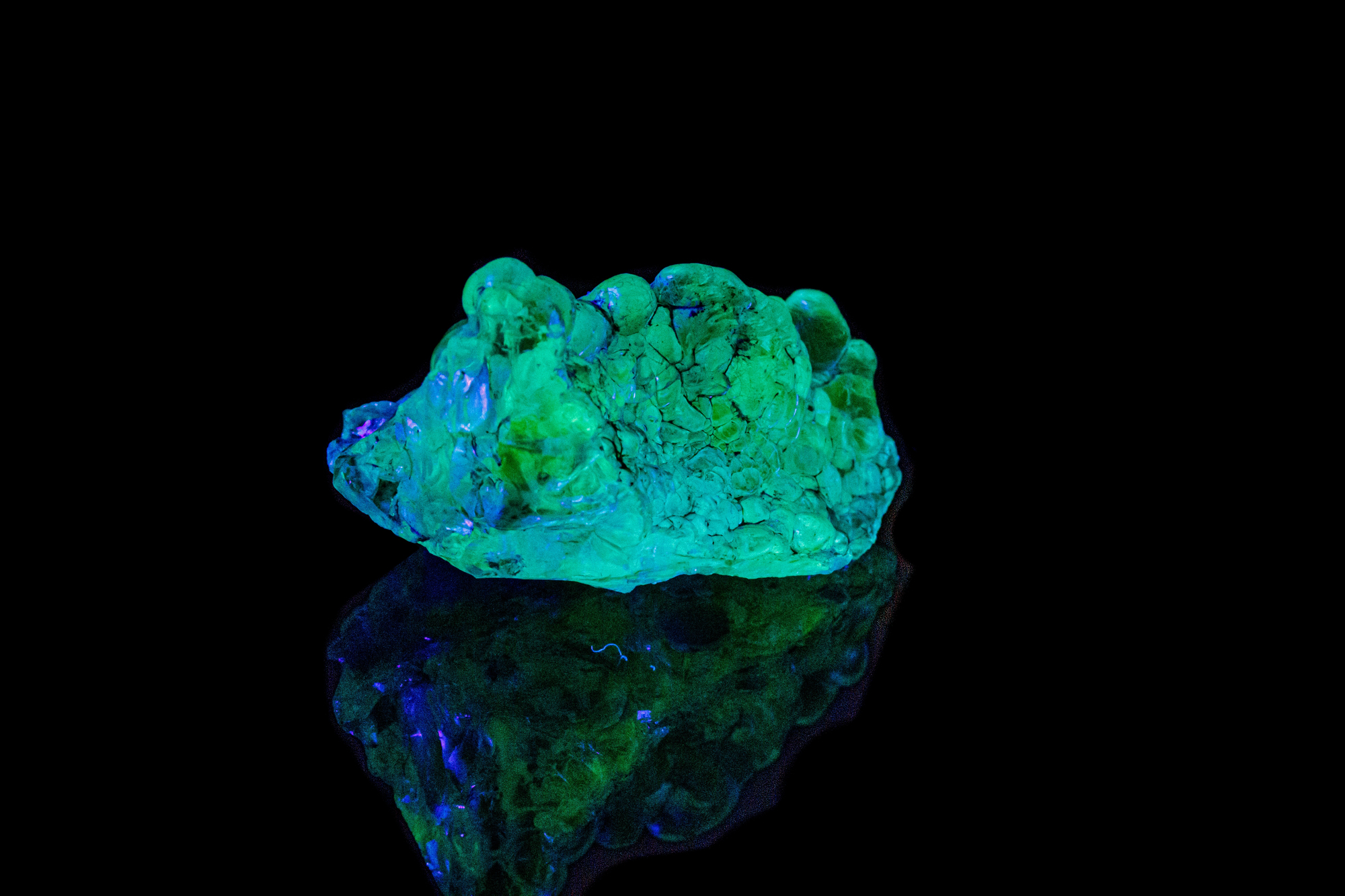 15 Things That Glow Under Black Light