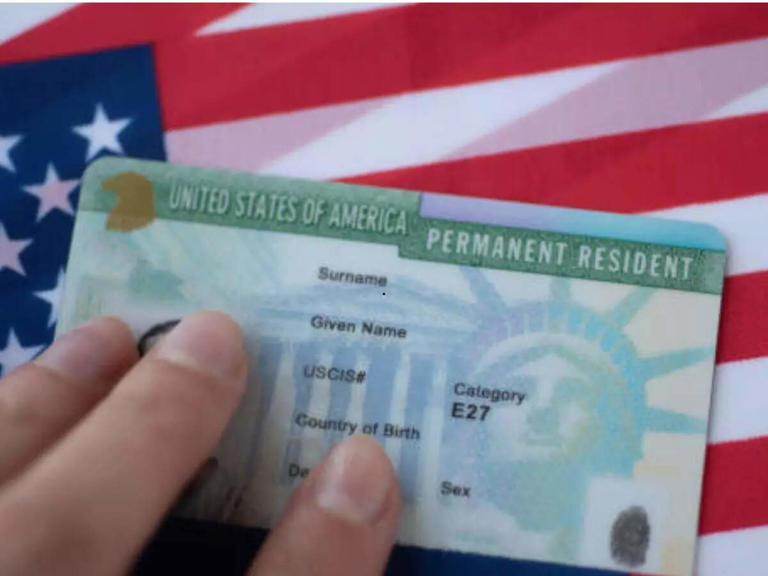 US Green Card chaos: Immigration backlog hits record 11.3 million ...