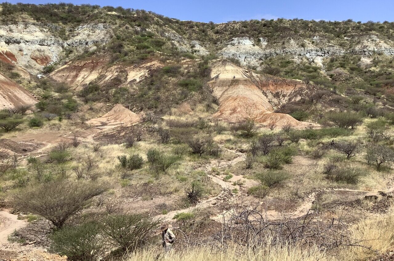 Fossil teeth yield 18-million-year-old proteins, offering new clues to ...