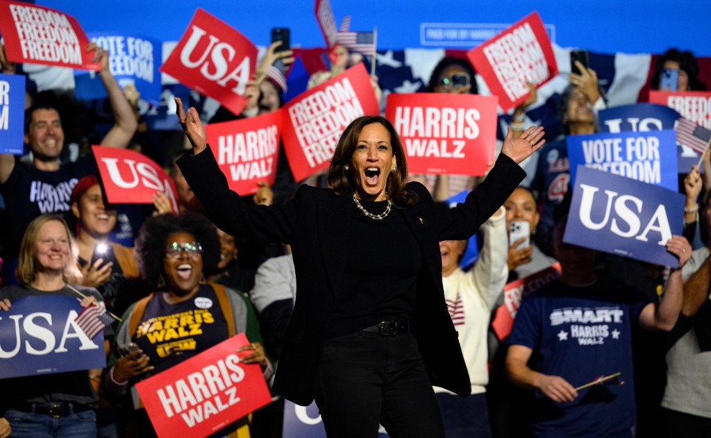 Kamala Harris’ interview on TikTok’s ‘Subway Takes’ was so bizarre, she ...