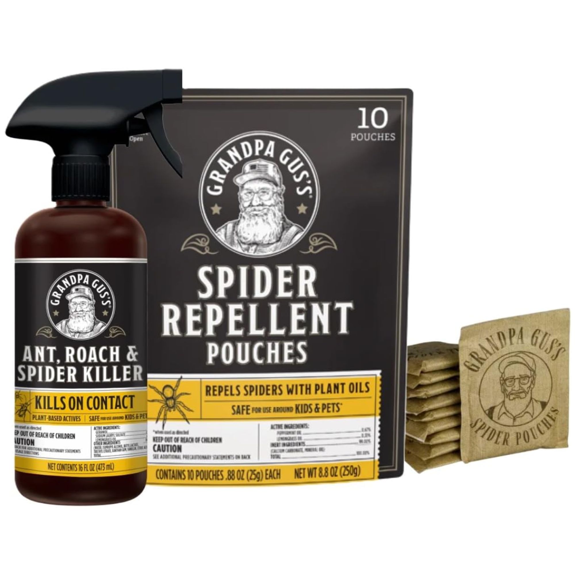 Pest control pros warn why you never squash spiders in your home – it ...