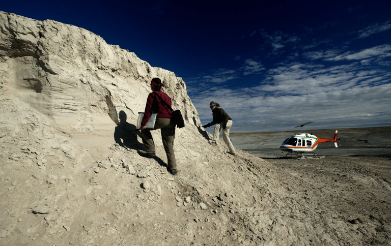 Recovery Of 24-Million-Year-Old Protein Fragments From Extinct Animal ...