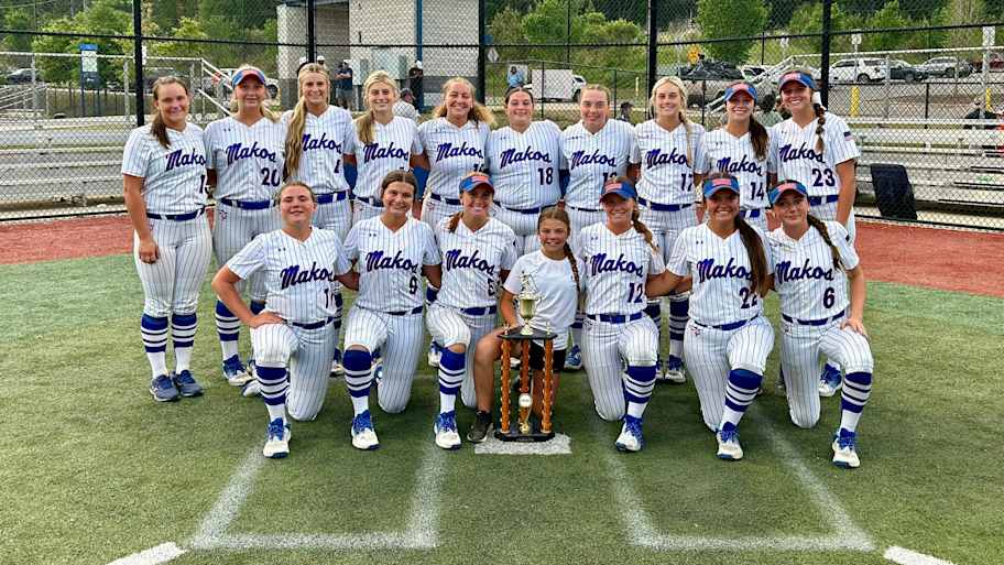 High School Softball Rule Changes: NFHS Updates Tech Use Guidelines ...