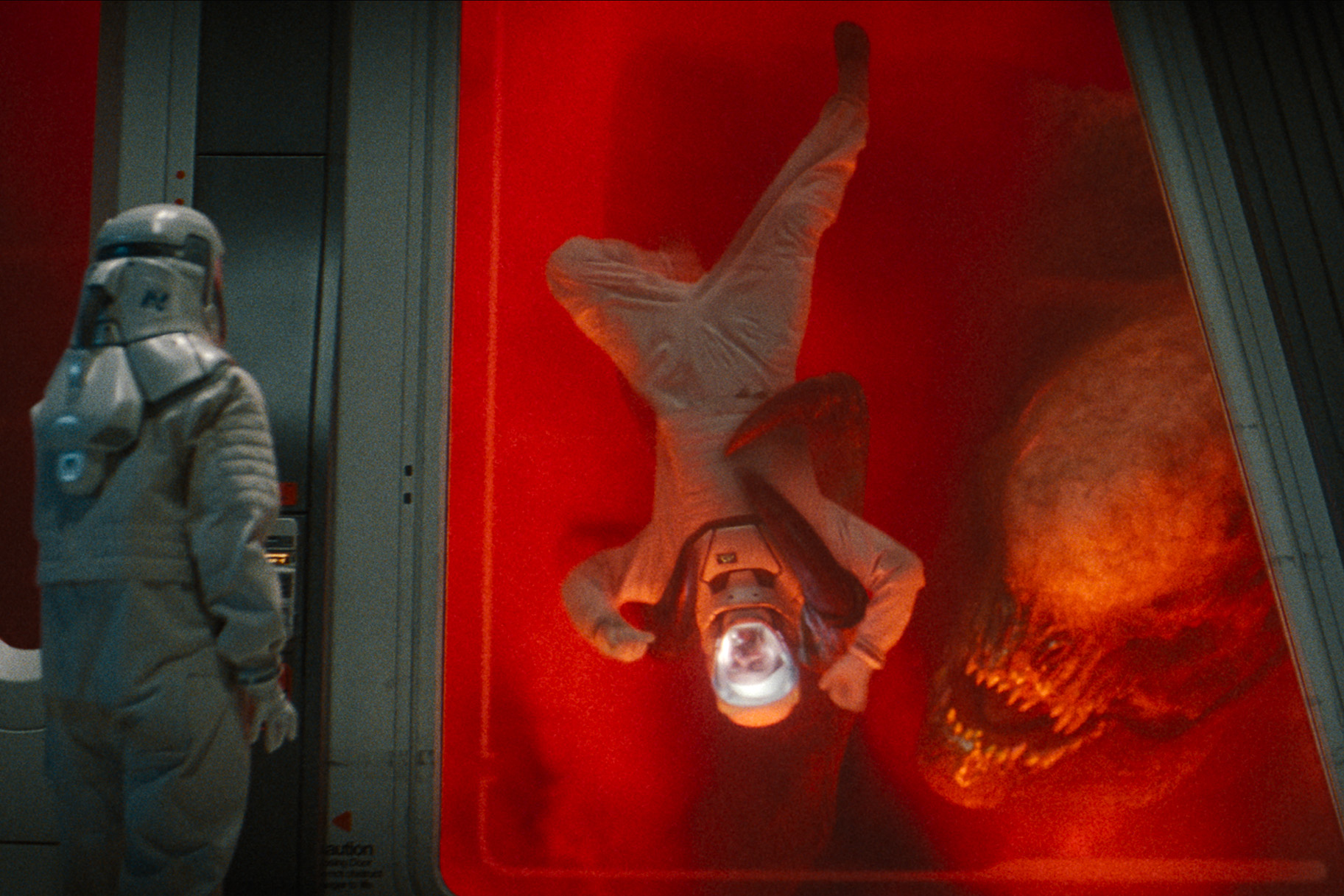 Gareth Edwards Reveals the Alternate Opening to Jurassic World Rebirth ...