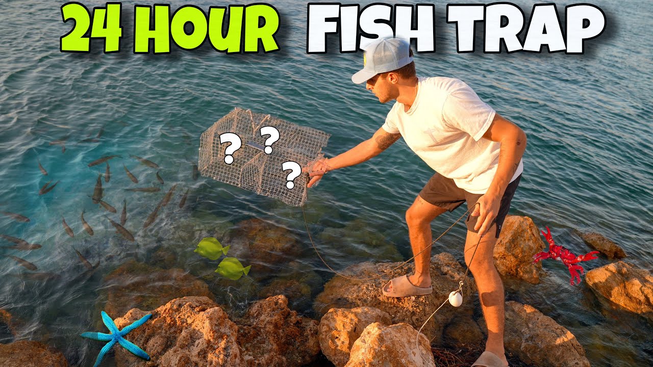 24 Hour FISH TRAP Catches SALTWATER FISH!!
