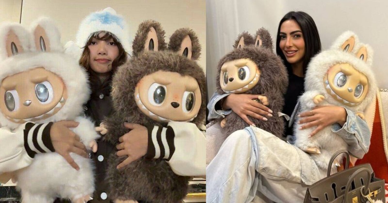 Labubu loses its sparkle? Inside the rise and crash of a demonic doll ...