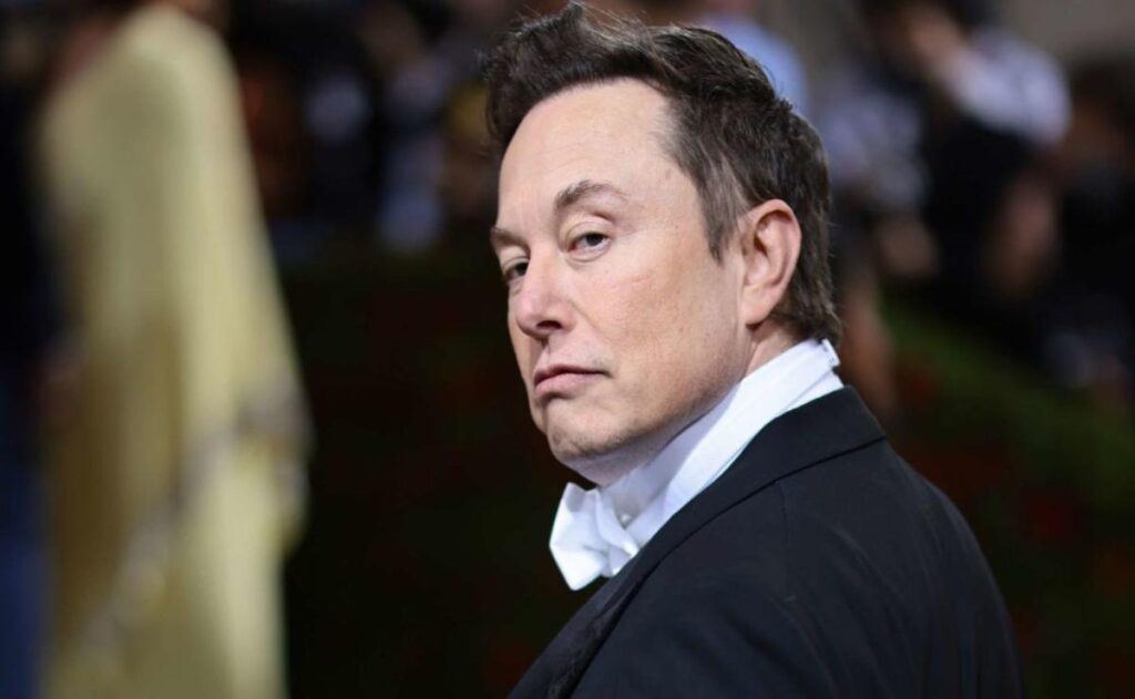 Elon Musk responde con furia a analista de Tesla: "Cállate, Dan" tras ...