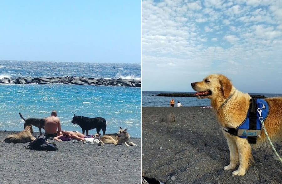 Playa para perros El Cabezo Güímar: un paraíso canino en Tenerife