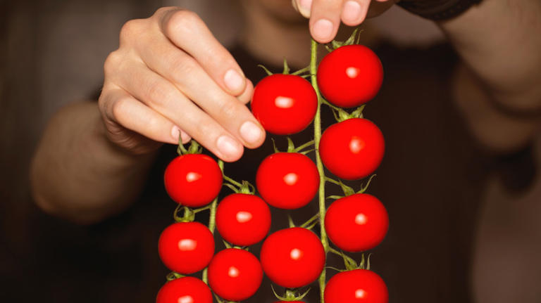 The Differences Between 10 Types Of Tomatoes