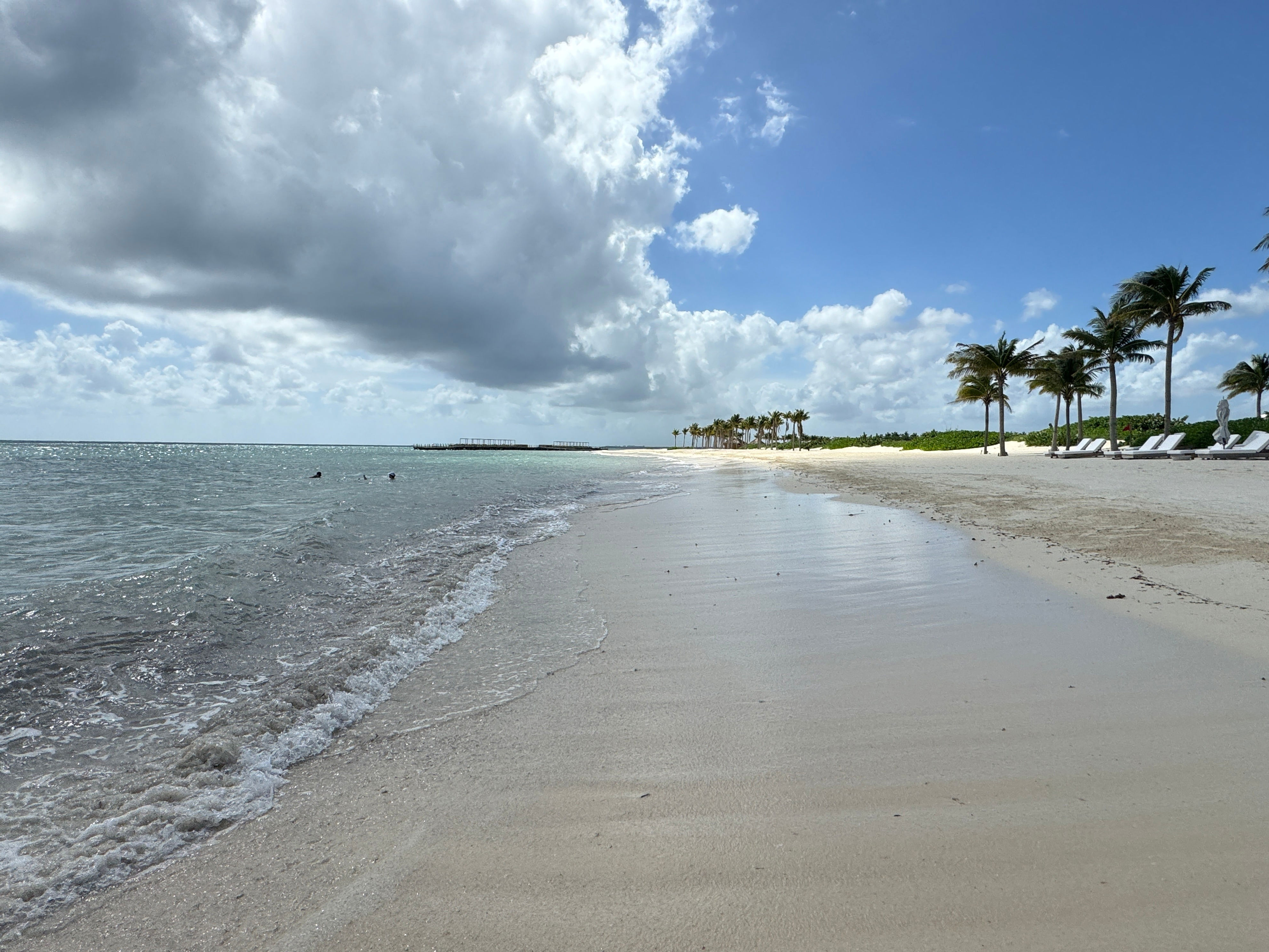 [Award Alert] Fly to Mexico for 8K AA Miles With Wide-Open Availability