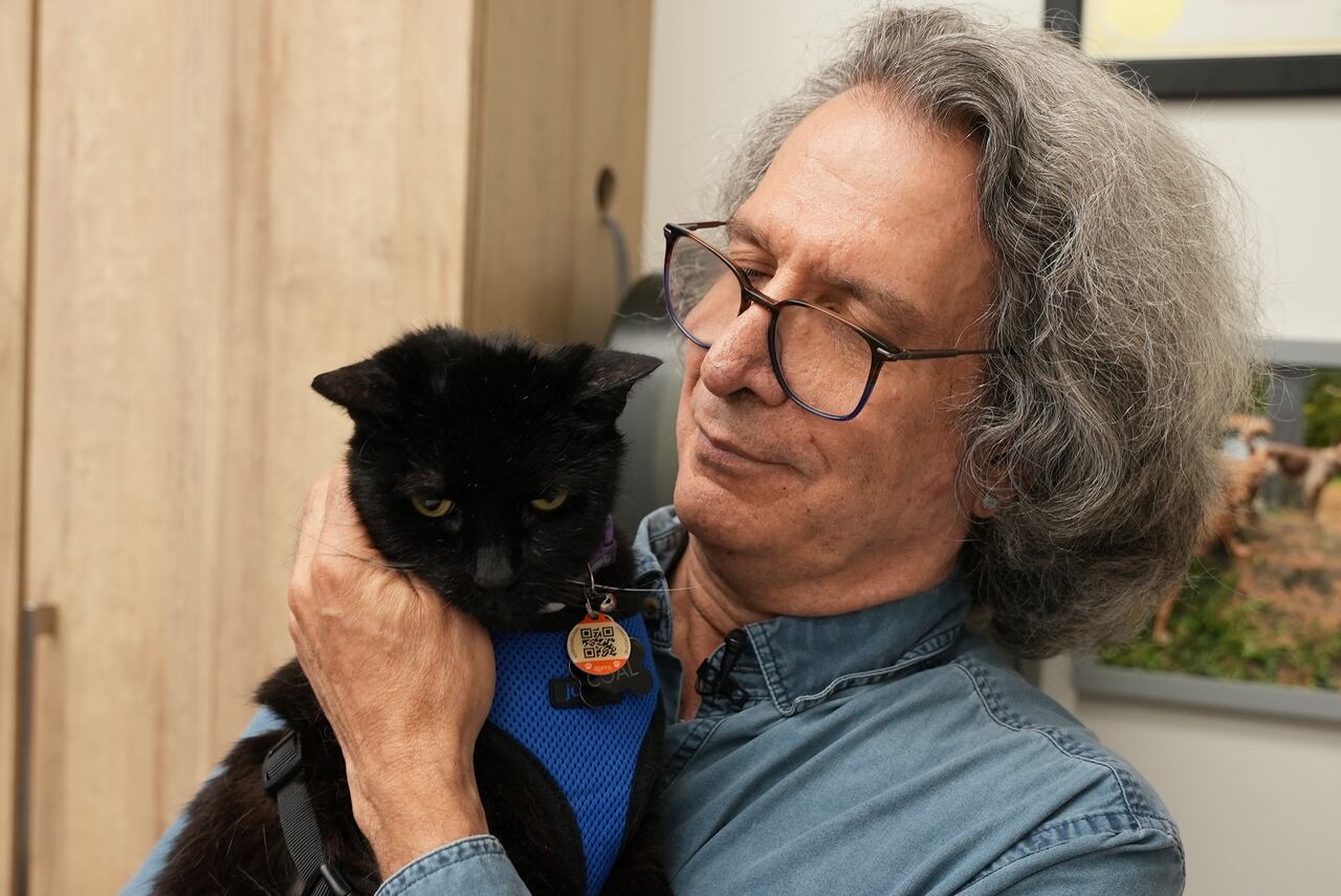 Remembering Coal, the last Parliament Hill cat