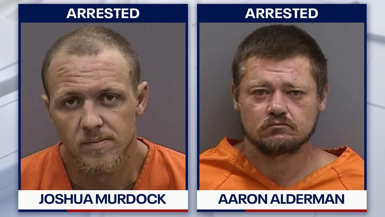 Suspected car thief caught with stolen gun, meth elbows Tampa police ...