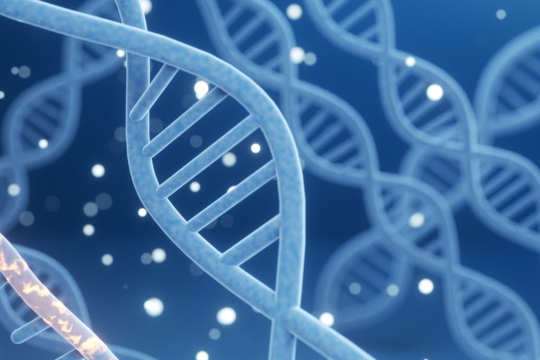 Researchers used gene therapy to restore hearing in adults