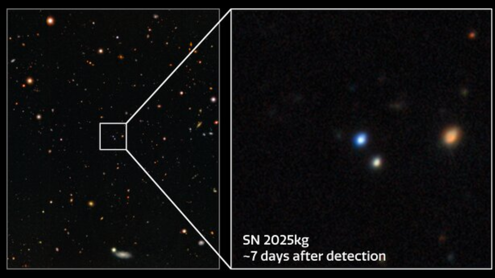 Astronomers trace mysterious blast of X-rays to 'Die Hard' star that ...