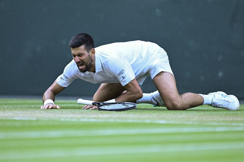 Novak Djokovic gives injury update after brutal Wimbledon faceplant ...